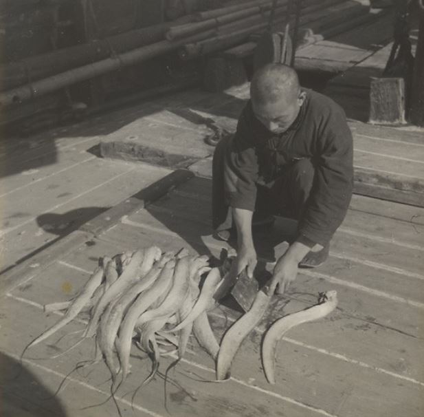 The Hedda Morrison Photographs of China, 1933-1946 | World History Commons